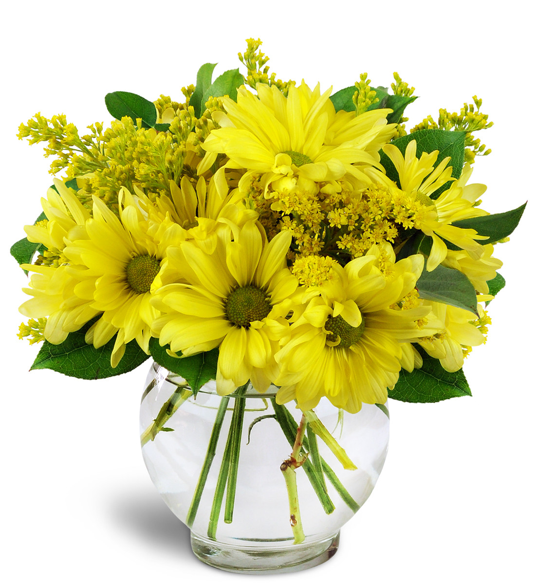 Send Daisies Flowers Online To Philippines