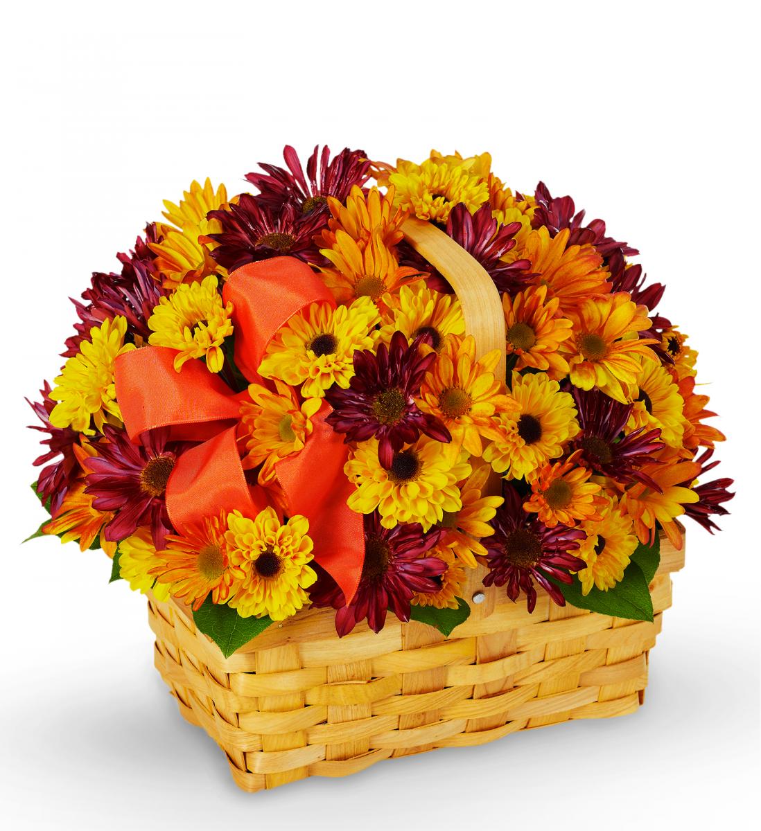 Send Daisies Flowers Online To Philippines