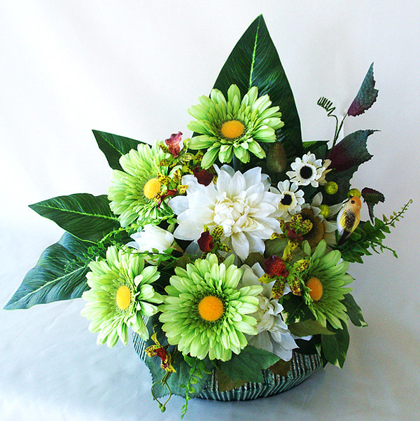 Send Daisies Flowers Online To Philippines