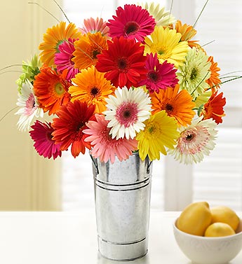 Send Daisies Flowers Online To Philippines